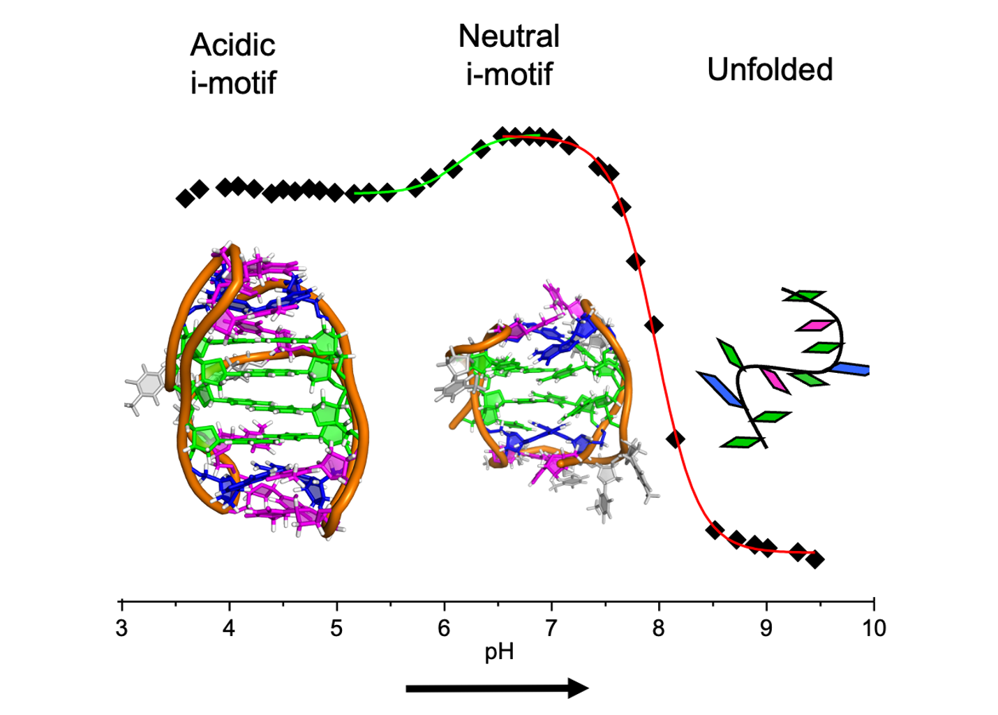 Researchers identify DNA sequences that modify their structure ...