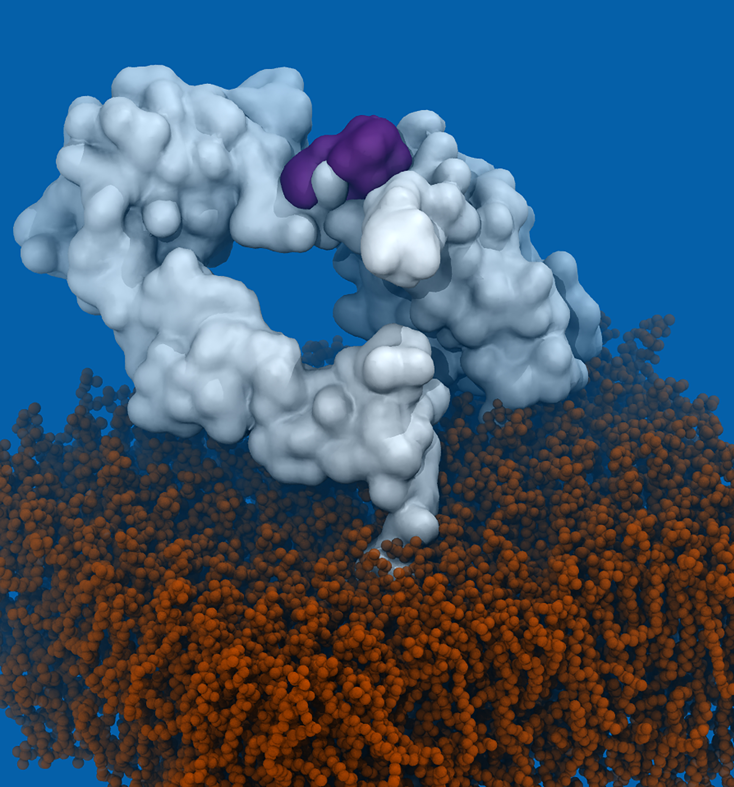 New approaches for the treatment of cancer | IRB Barcelona