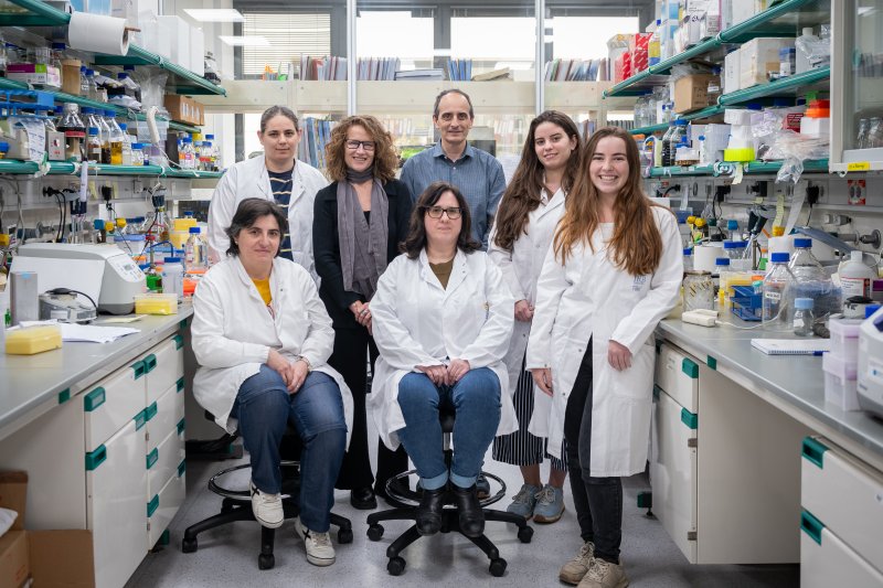 How cells use different strategies to respond to stress | IRB Barcelona