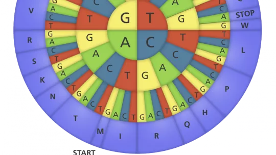 Descubierto un límite fundamental a la evolución del código genético ...