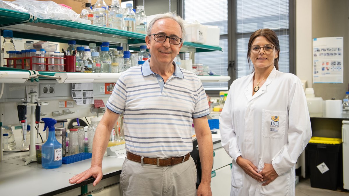 Scientists unveil the mechanism behind intracellular connection ...