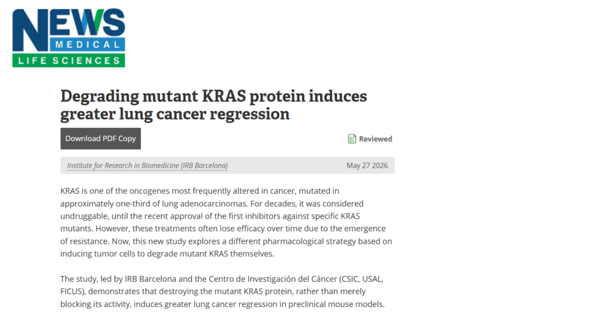 News Medical Life Sciences - Degrading mutant KRAS protein induces ...
