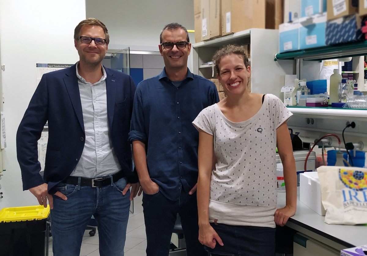 The skin ages due to the loss of cell identity | IRB Barcelona