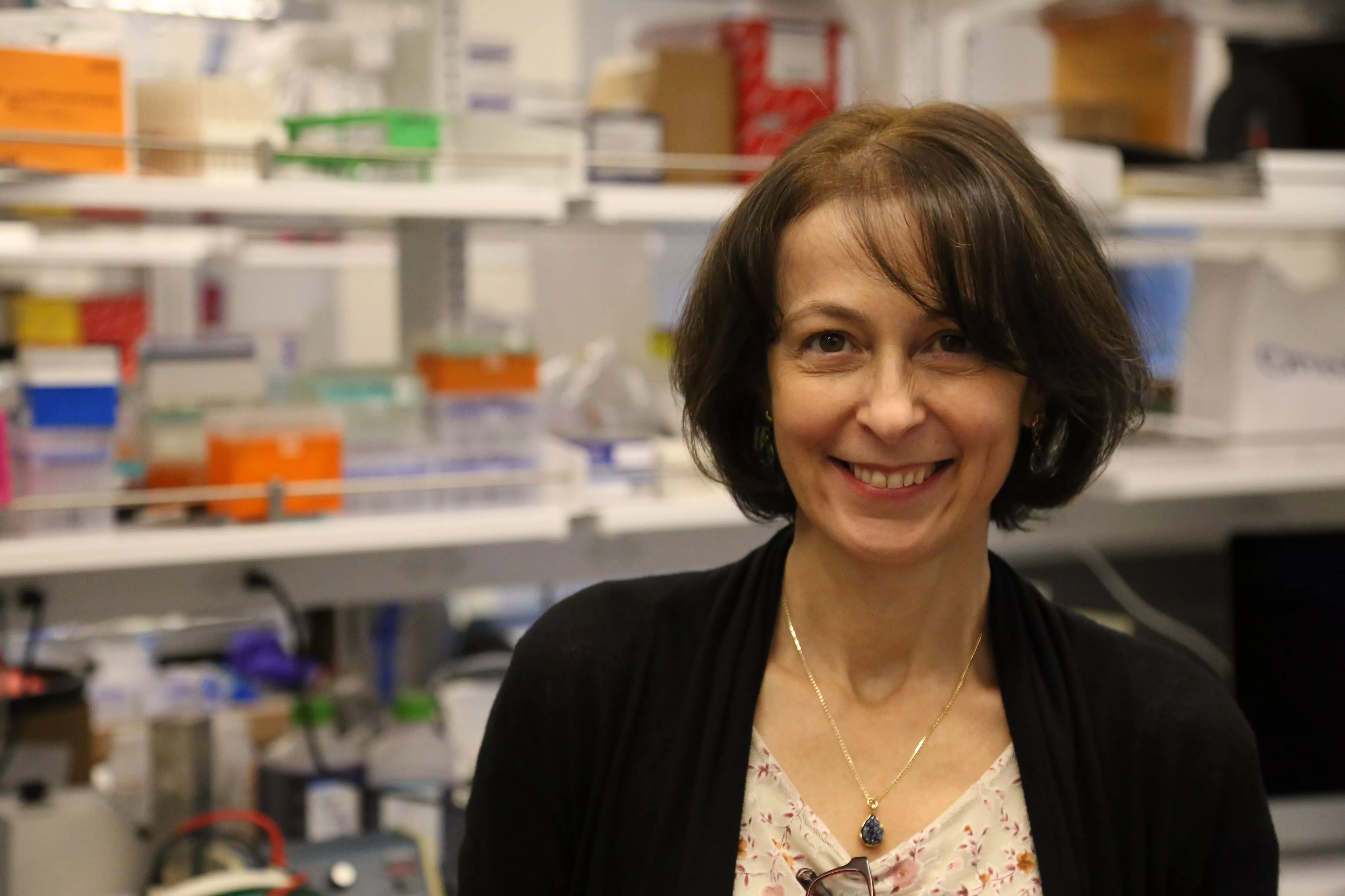 Molecular Determinants of Cancer Therapy Resistance | IRB Barcelona